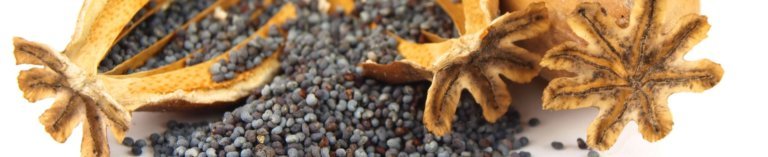 Mahlen von Mohnkörnern mit der M95 und TM3 | WEISSE Backtech